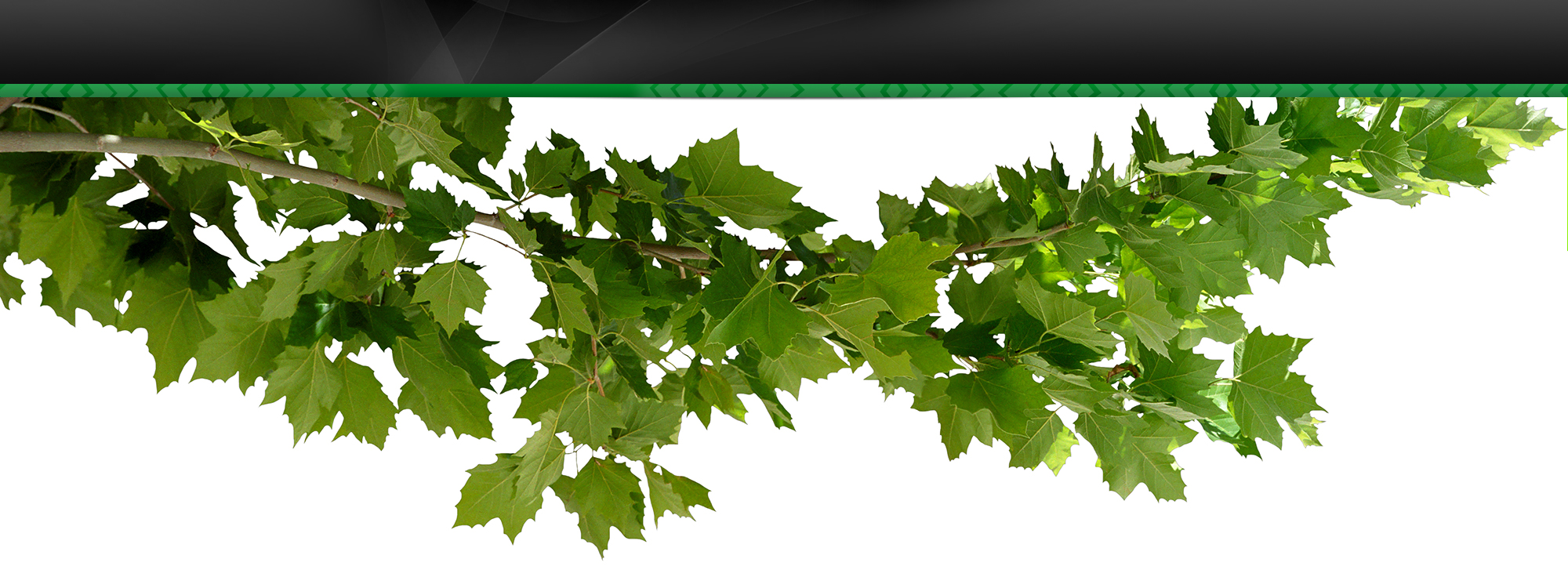 BUHLE WASTE - MEDICAL WASTE REMOVAL - Supplier Network South Africa